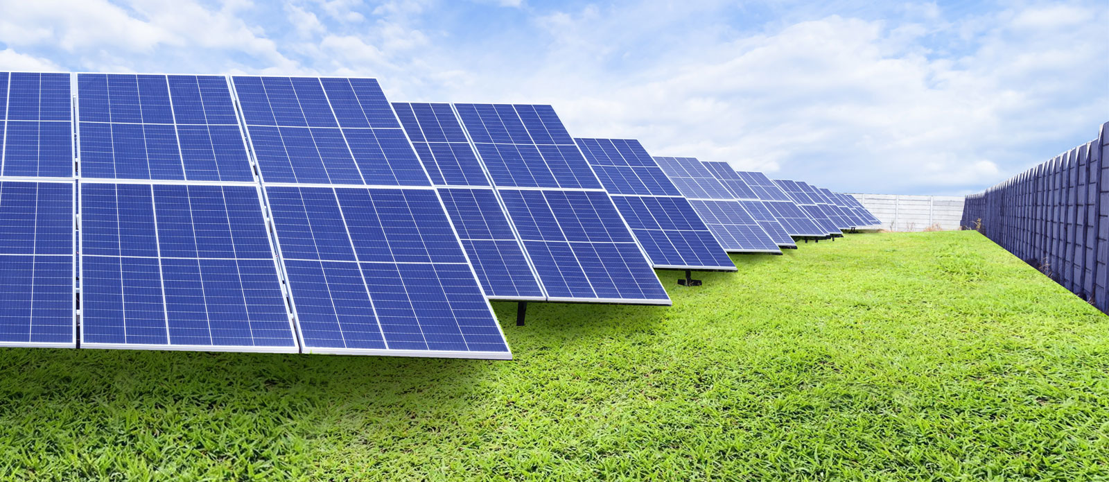 Intech Organics | #1 Manufacturer and supplier of bromine-based chemicals