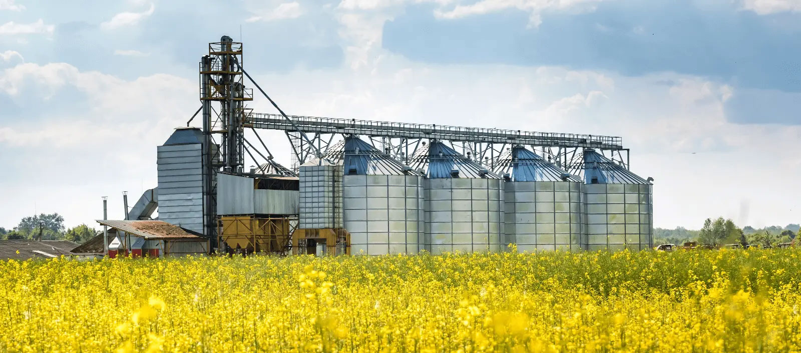 Intech Organics | #1 Manufacturer and supplier of bromine-based chemicals