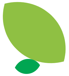 #1 Manufacturer and supplier of bromine-based chemicals in Worldwide