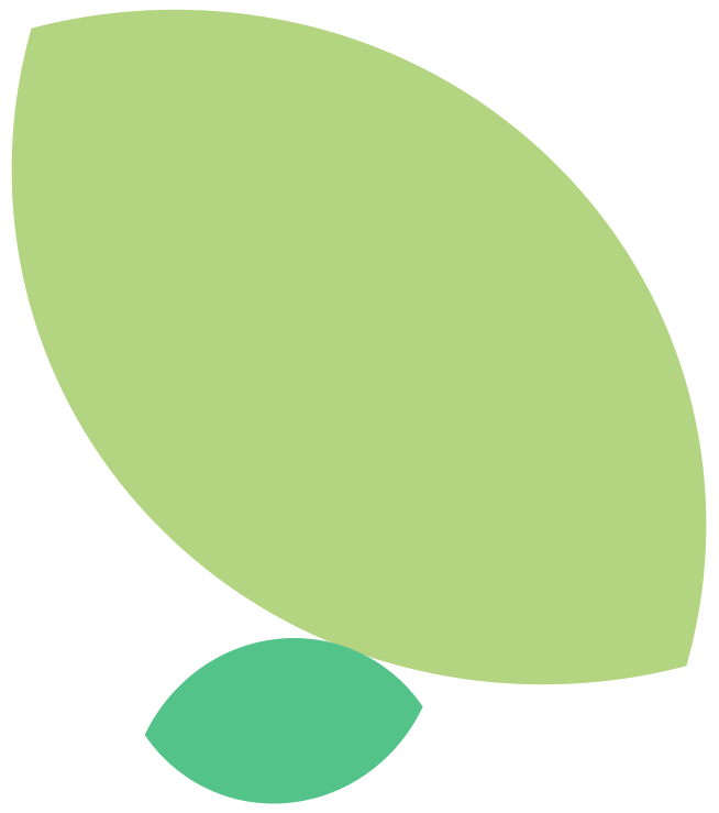 Intech Organics | #1 Manufacturer and supplier of bromine-based chemicals